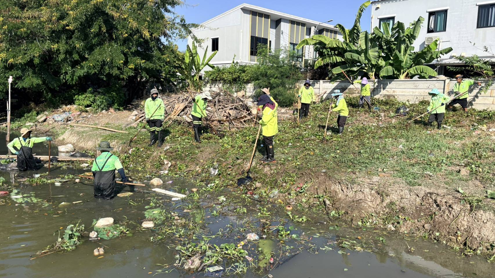 เจ้าหน้าที่ เก็บขยะวัชพืชคลองประเวศบุรีรมย์ช่วงแพวัดสังฆราชา พื้นที่เขต ...